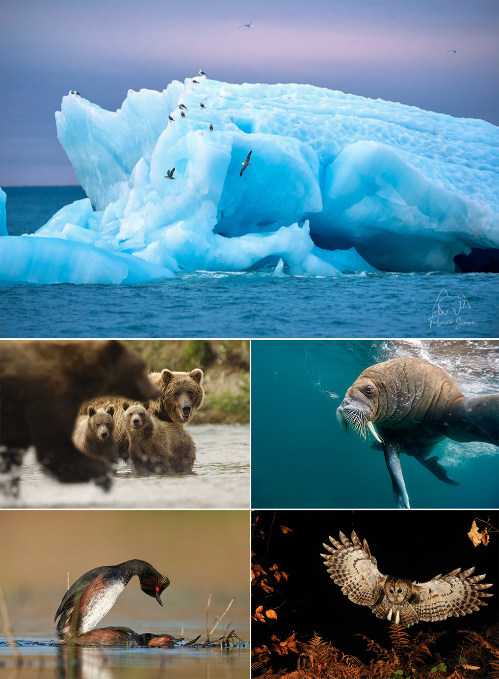 Conférence - Umencia - Compétition internationale de photographie